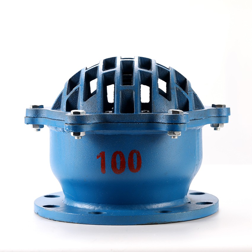 Spring Foot Valve - Buy Spring Foot Valve Product on Baoding Valvula ...