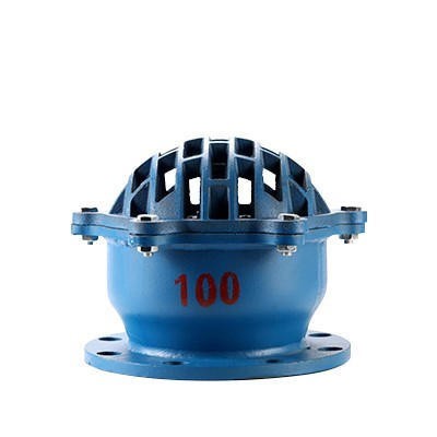 Spring Foot Valve - Buy Spring Foot Valve Product on Baoding Valvula ...